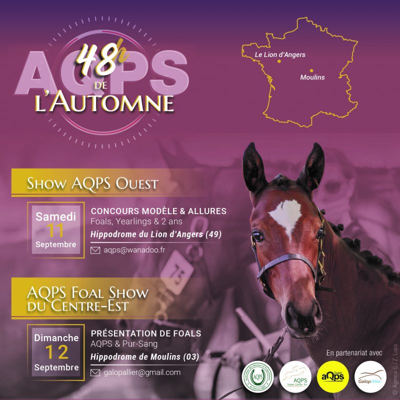 Show AQPS Ouest 2021 | Conseil des équidés de Bretagne